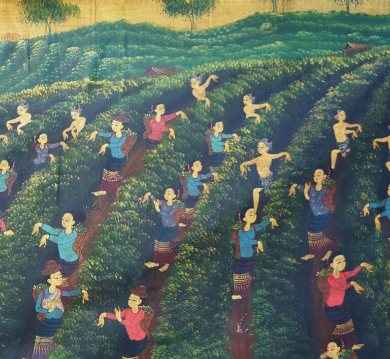 Lanna Tea- Producer of Premium Loose Leaf Tea in Thailand-